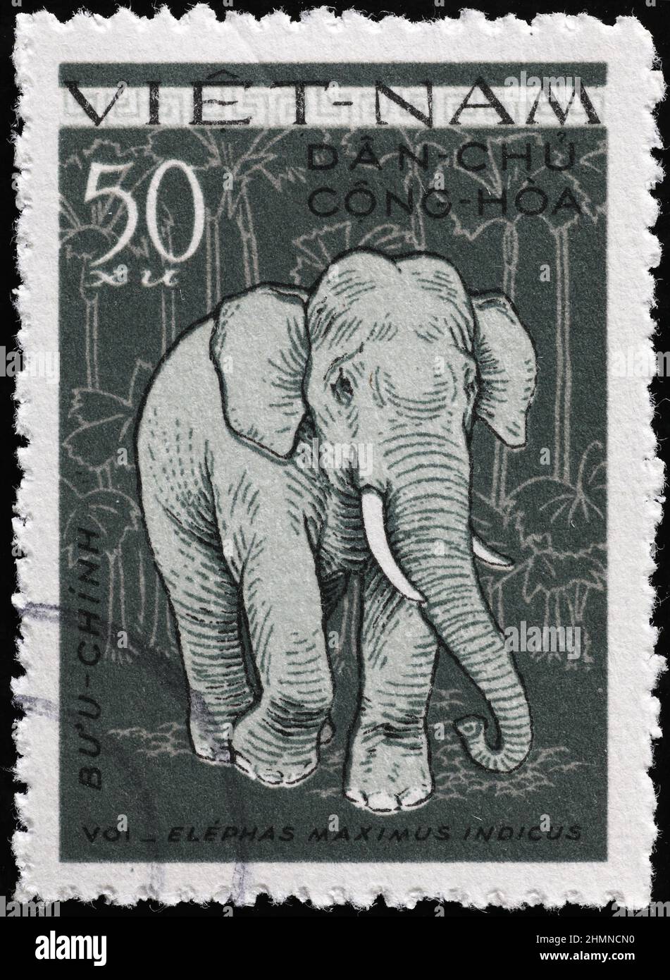 Vietnamese postage stamp hi-res stock photography and images - Alamy
