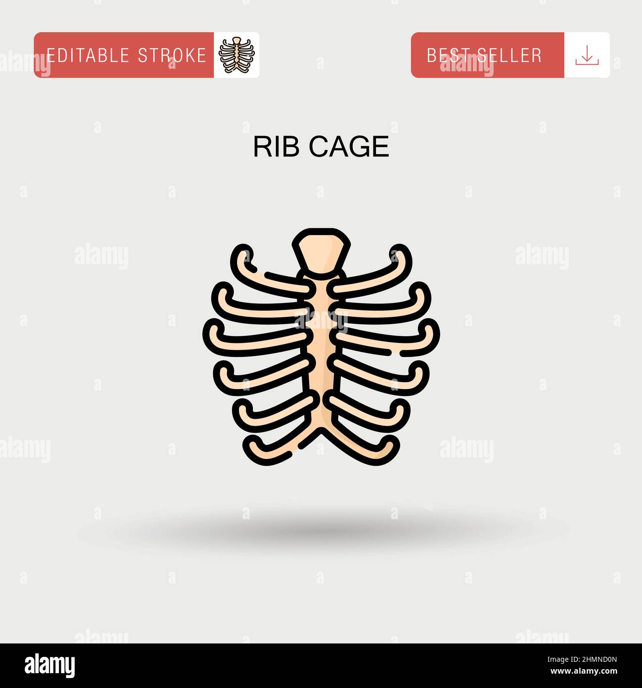Rib cage Simple vector icon Stock Vector Image & Art - Alamy