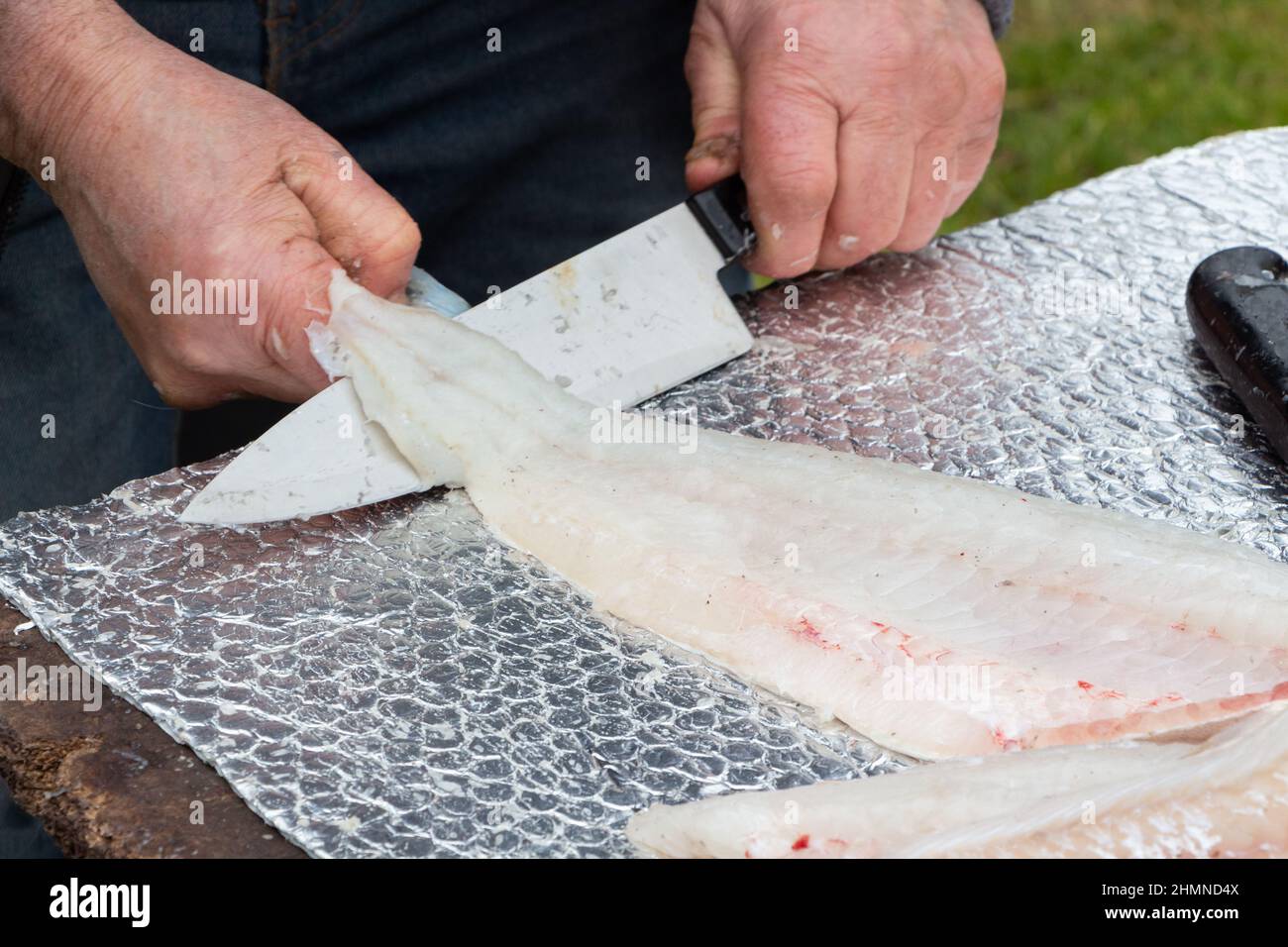 Fisherman cutting fillet on a fish after fishing in Brittany Stock ...