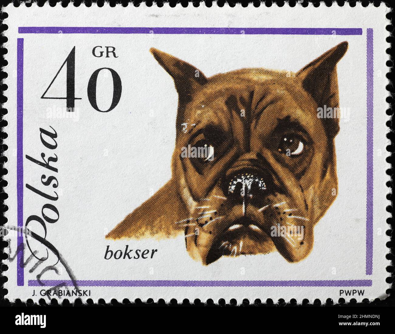 Dog boxer on polish stamp Stock Photo - Alamy