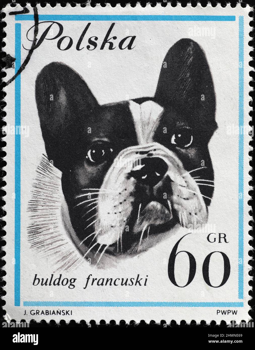 French bulldog terrier on polish stamp Stock Photo - Alamy