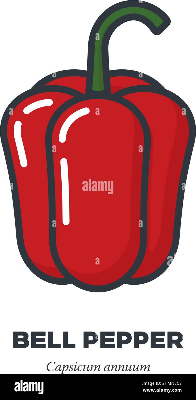 Red bell pepper vegetable icon, outline with color fill style vector ...