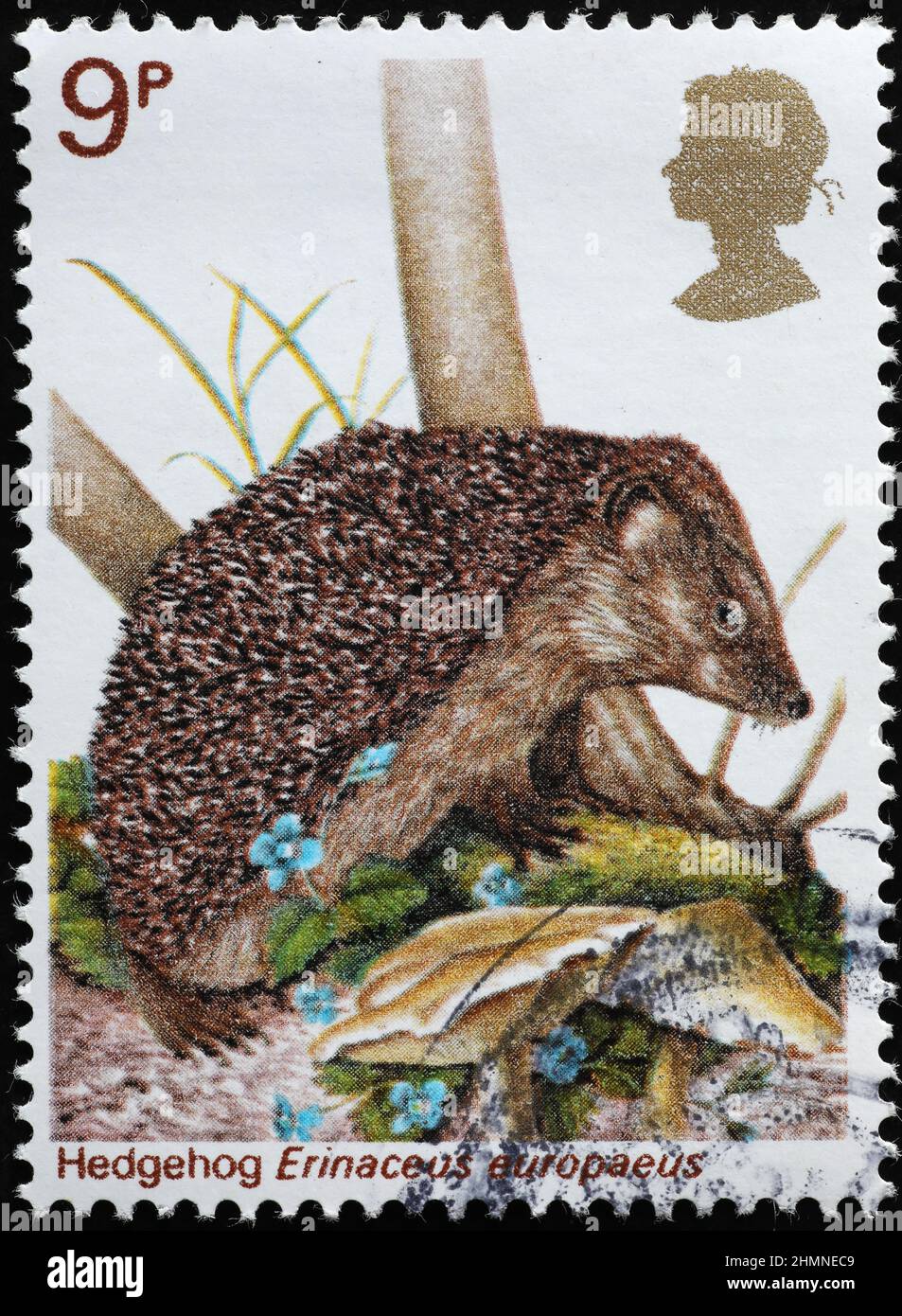 Hedgehog on british postage stamp Stock Photo - Alamy