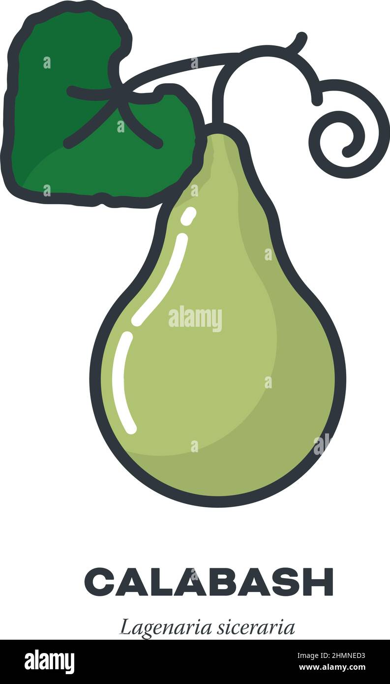 Calabash gourd with leaf vegetable icon, outline with color fill style ...