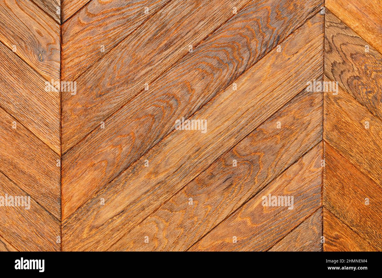 A beautiful wood pattern of European oak in the form of a smooth wooden ...