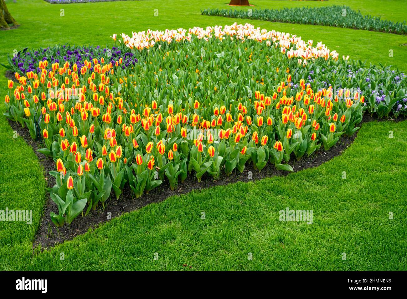 Formal spring garden. Flower Bed In Keukenhof Gardens Stock Photo - Alamy