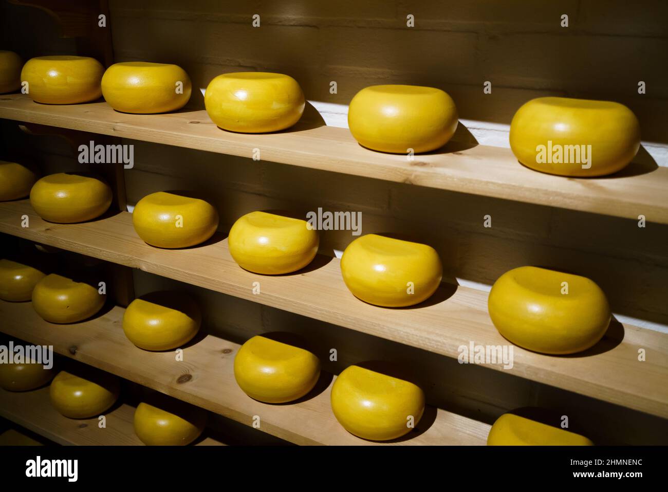 Cheese shop display. Farmer cheese. Cheese wheels in store Stock Photo ...