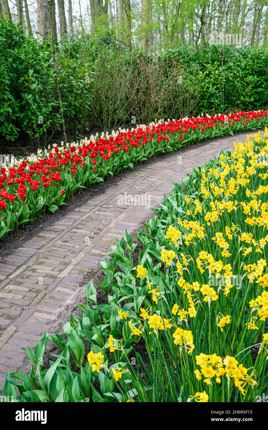 Formal spring garden. Flower Bed In Keukenhof Gardens Stock Photo - Alamy