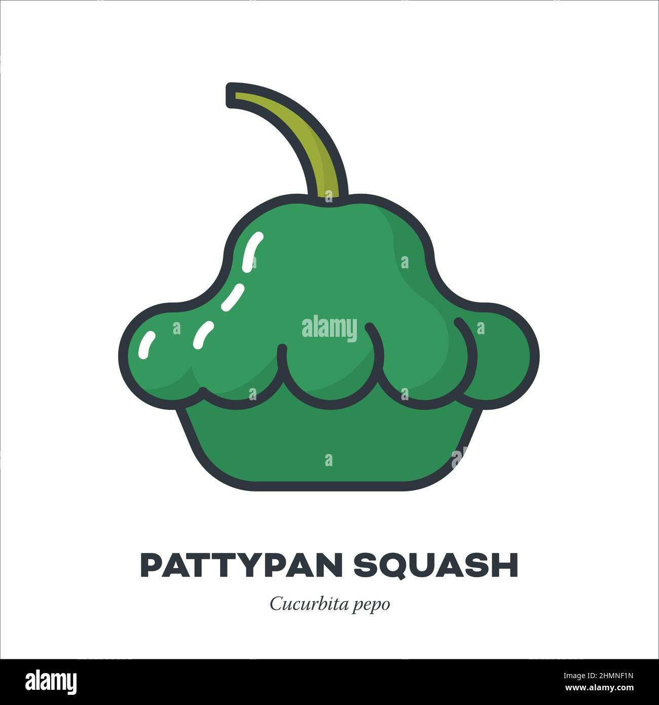 Custard squash, Pattypan squash or Patisson vegetable icon, outline ...