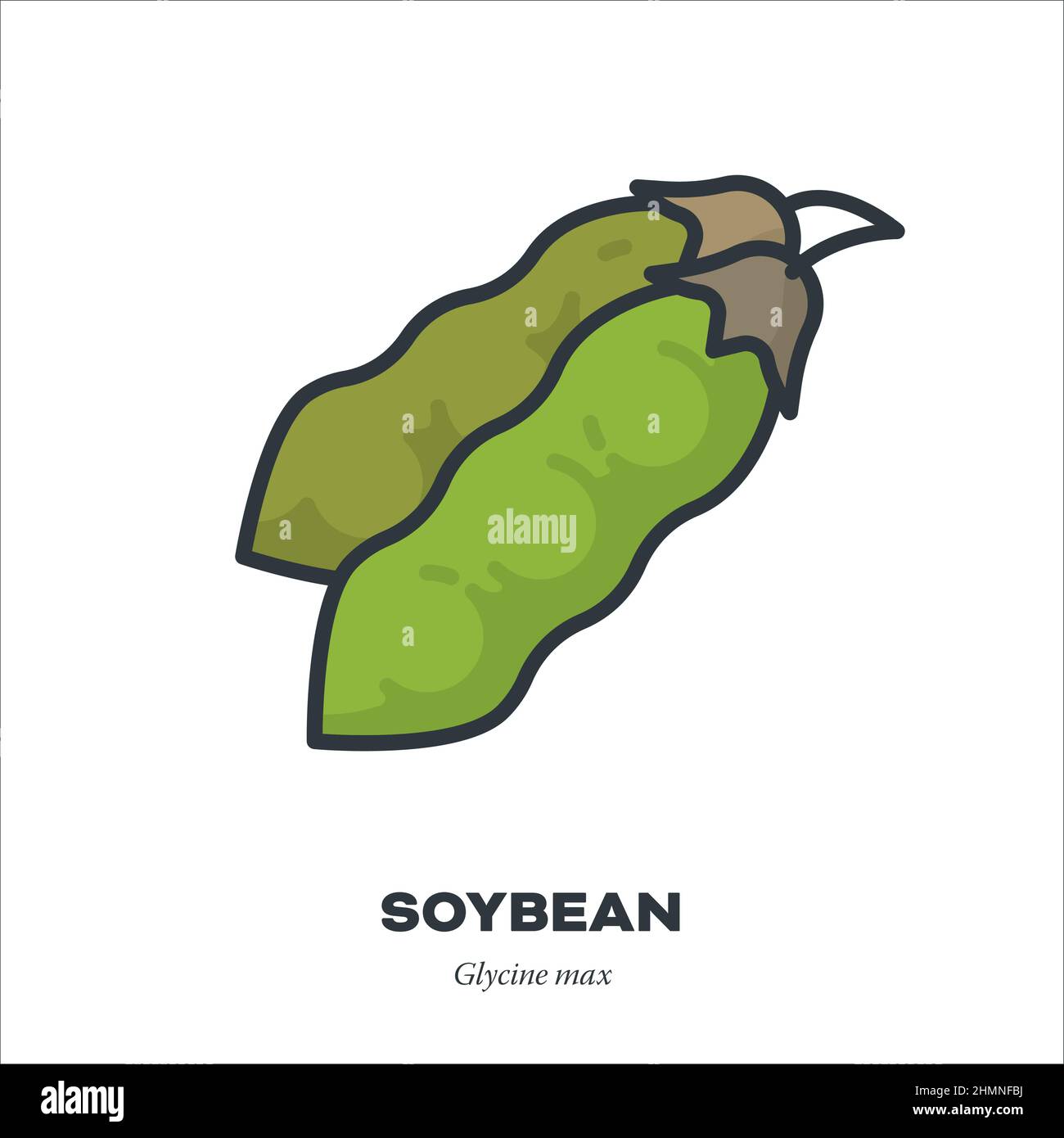 Soybeamn or soy bean pods vegetable icon, outline with color fill style ...