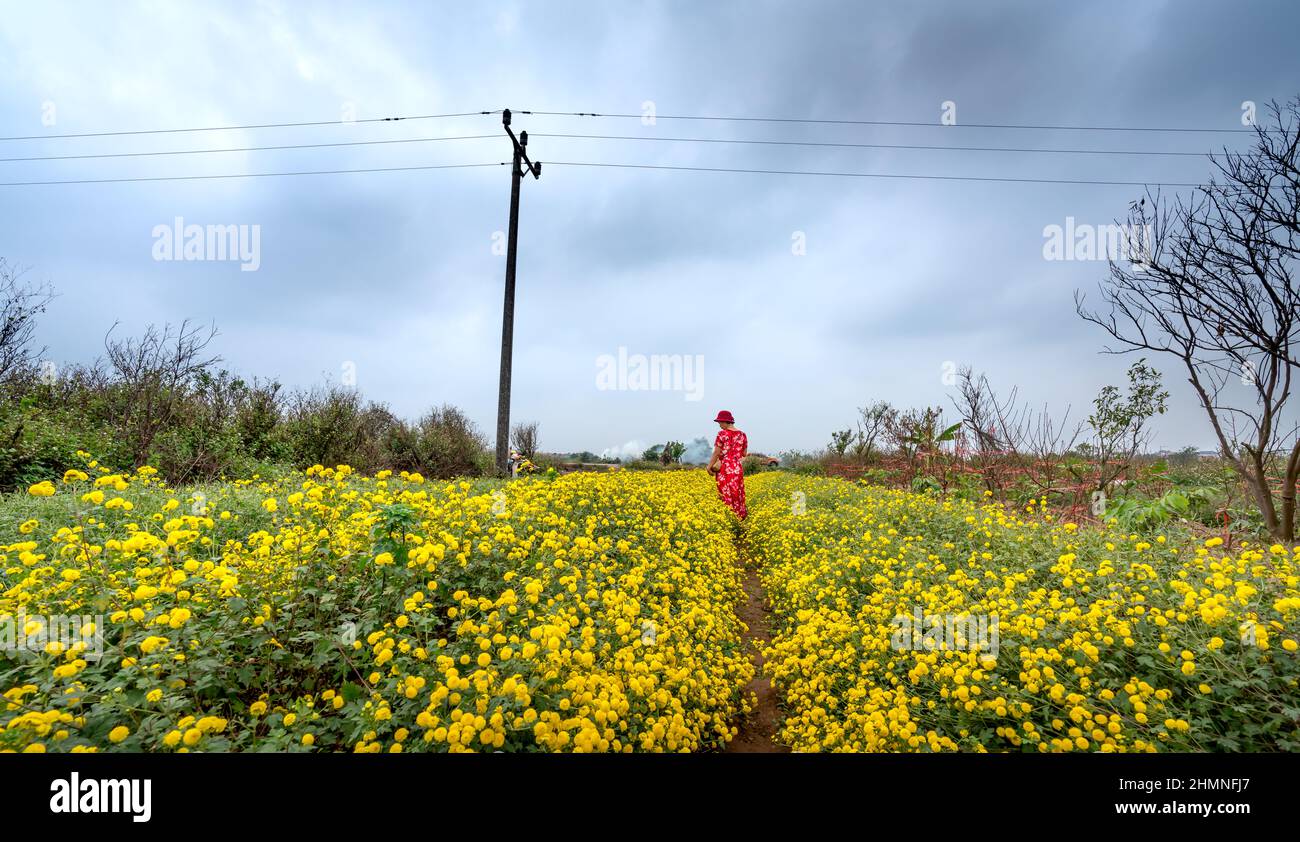 Nghia Trai Village, Hung Yen Province, Vietnam - January 8, 2022 ...