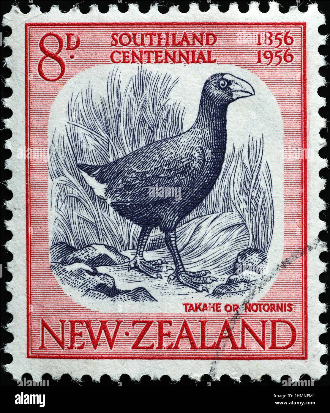 Vintage bird artwork hi-res stock photography and images - Alamy