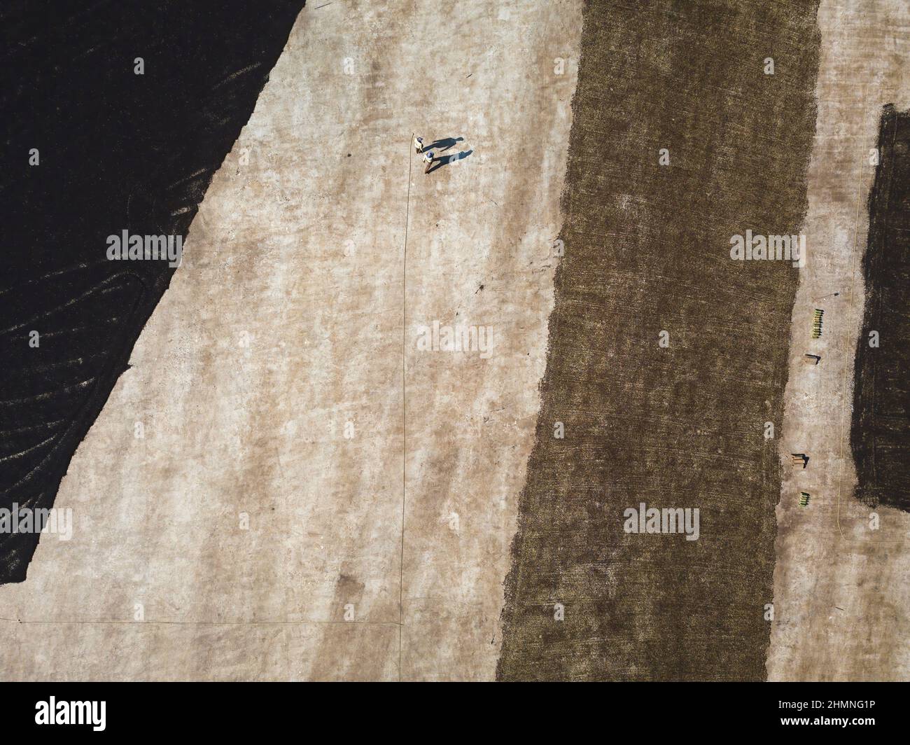 Coffee drying patios, Brazil Stock Photo - Alamy