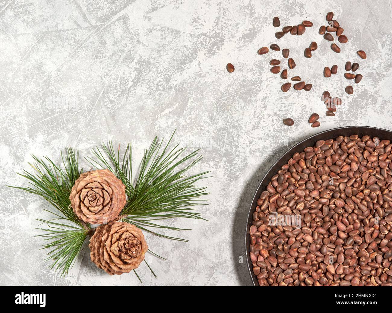 Cedar or pine nuts in a bowl with cones on gray background and a branch ...