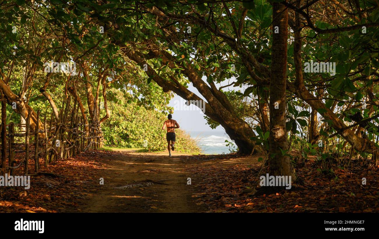 The photo shows a forest path in the forest reclamation zone. Treadmill ...