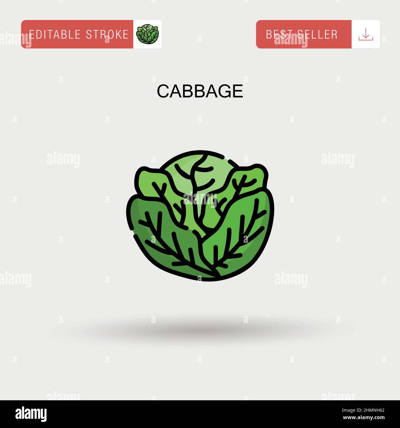 Cabbage closeup Stock Vector Images - Alamy