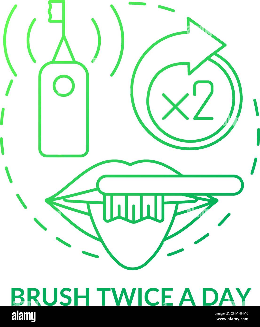 Brush twice every day green gradient concept icon Stock Vector Image ...