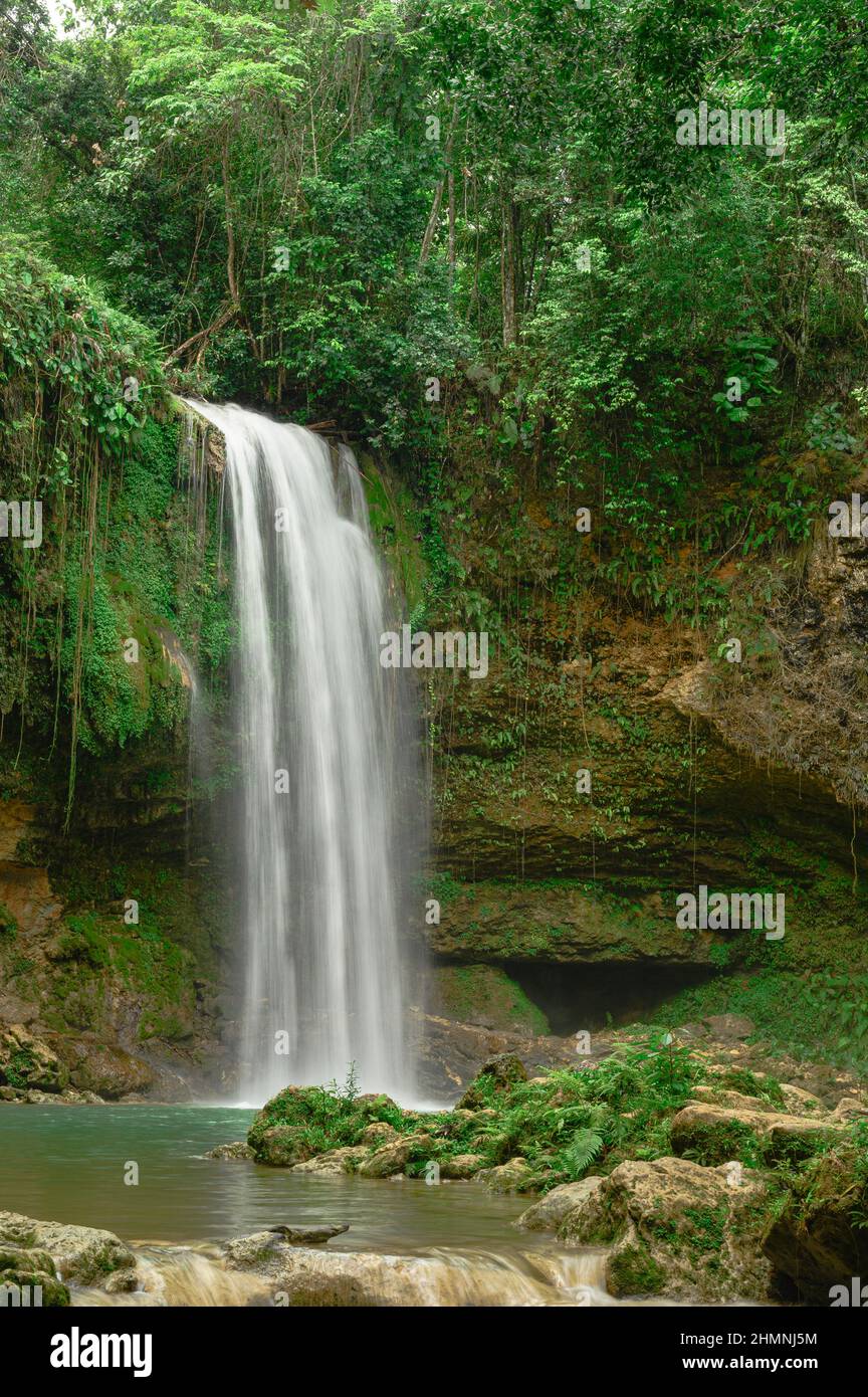 Mountain river and waterfall HD. Clean water flowingl. Below is ...