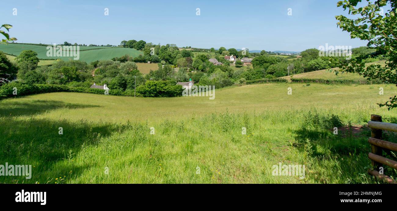 Newton abbot south devon uk hi-res stock photography and images - Alamy