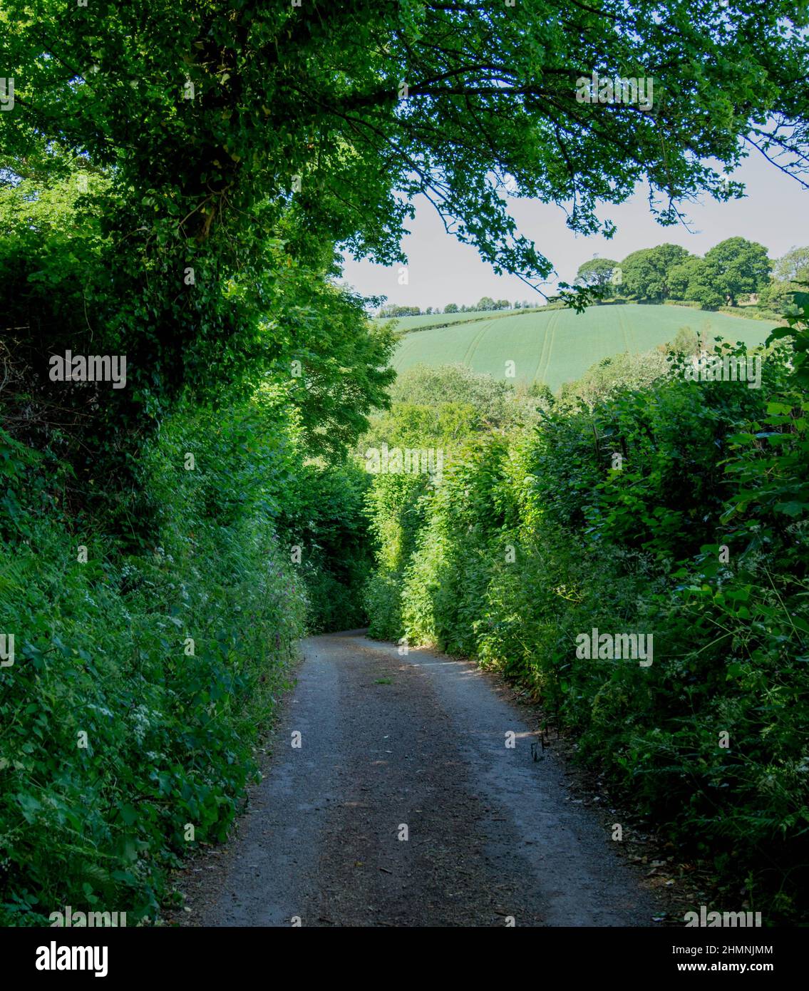 Newton abbot south devon uk hi-res stock photography and images - Alamy