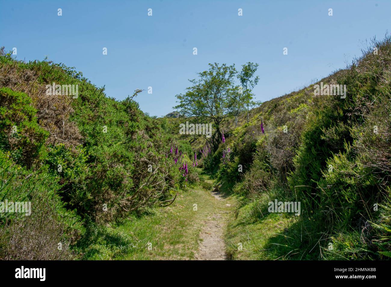 Haytor quarry dartmoor hi-res stock photography and images - Alamy