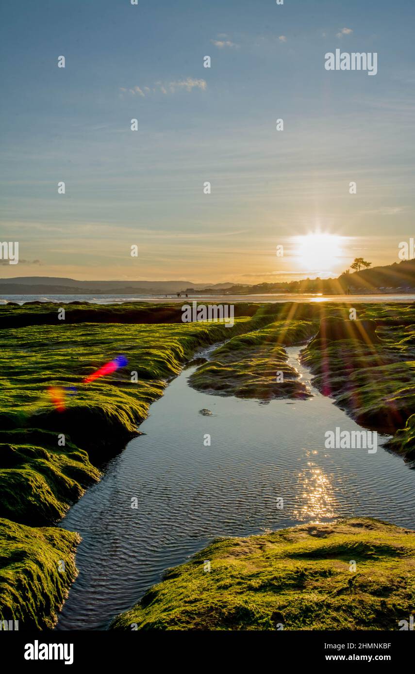 Rock pools exmouth beach devon hi-res stock photography and images - Alamy