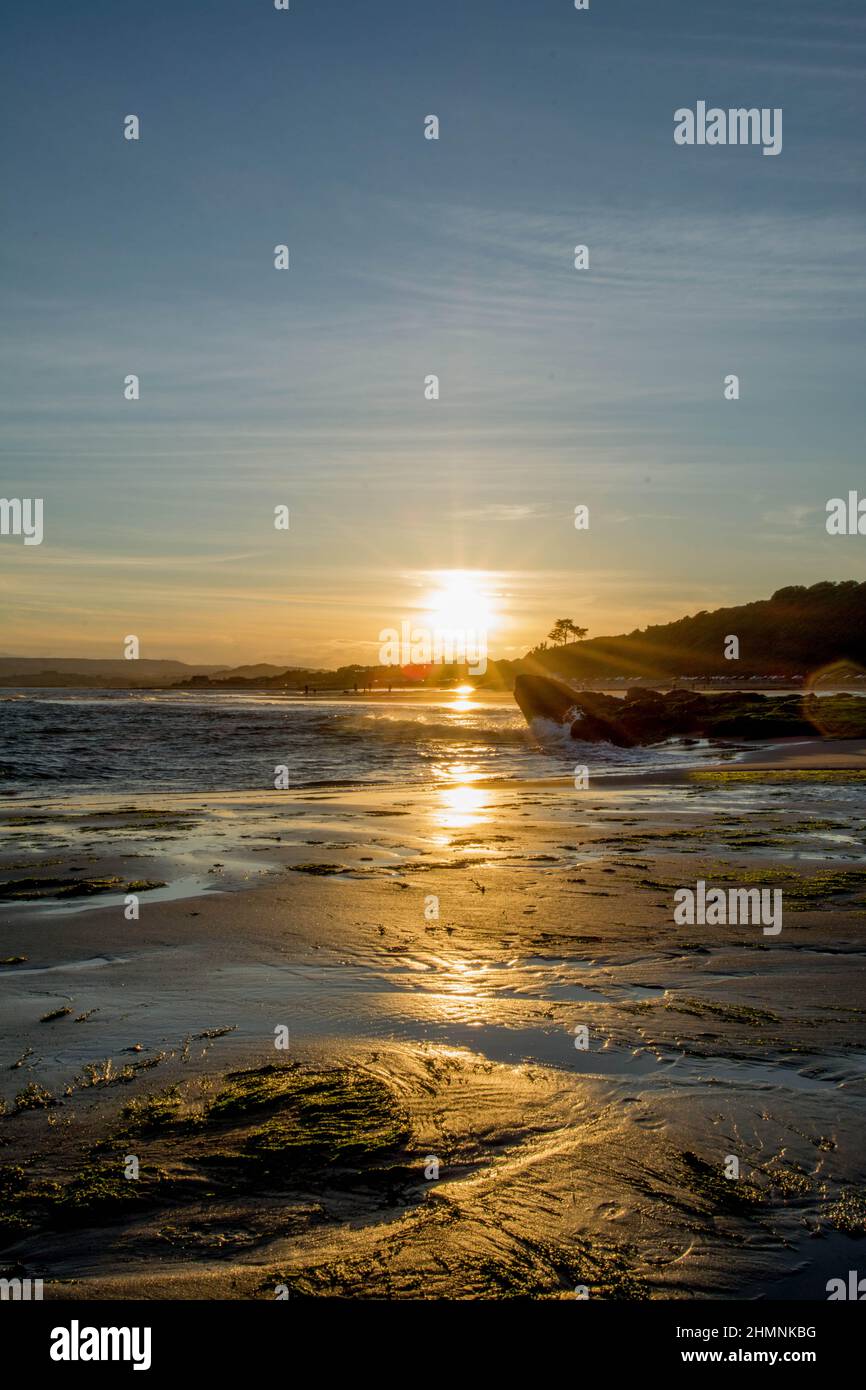 Rock pools exmouth beach devon hi-res stock photography and images - Alamy