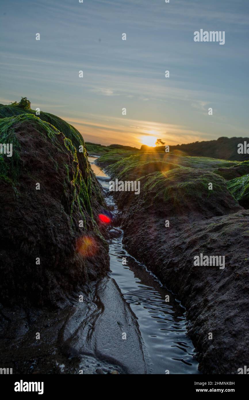 Rock pools exmouth beach devon hi-res stock photography and images - Alamy