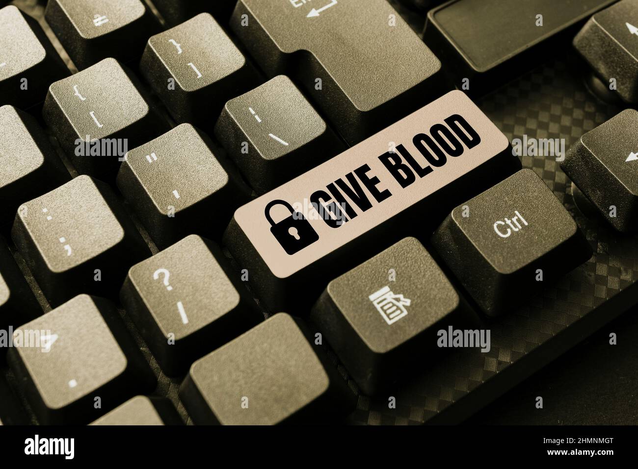Text sign showing Give Blood. Internet Concept a person voluntarily has ...