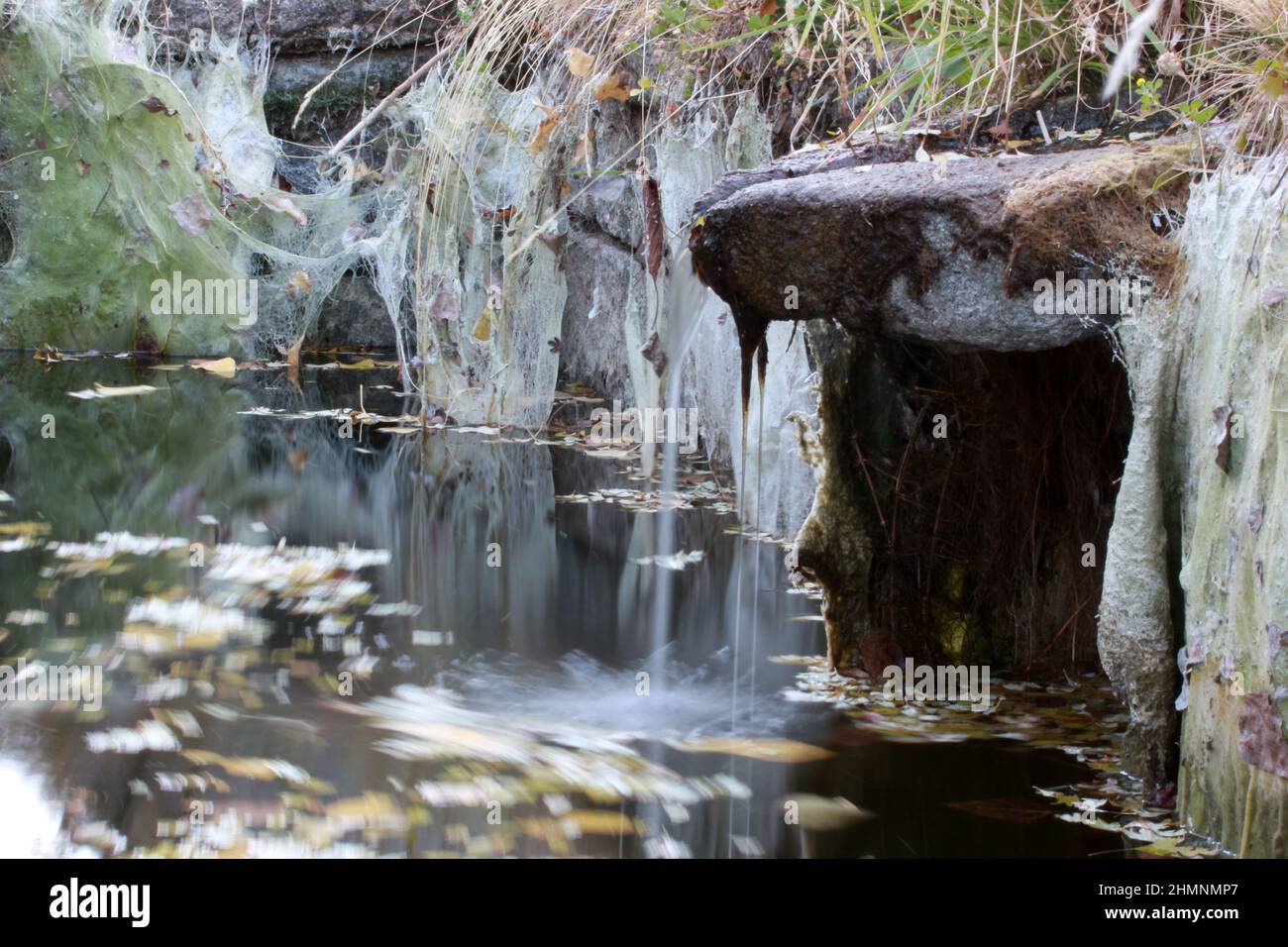 Garden watering algae-bound pond. Water flowing from very old stone ...