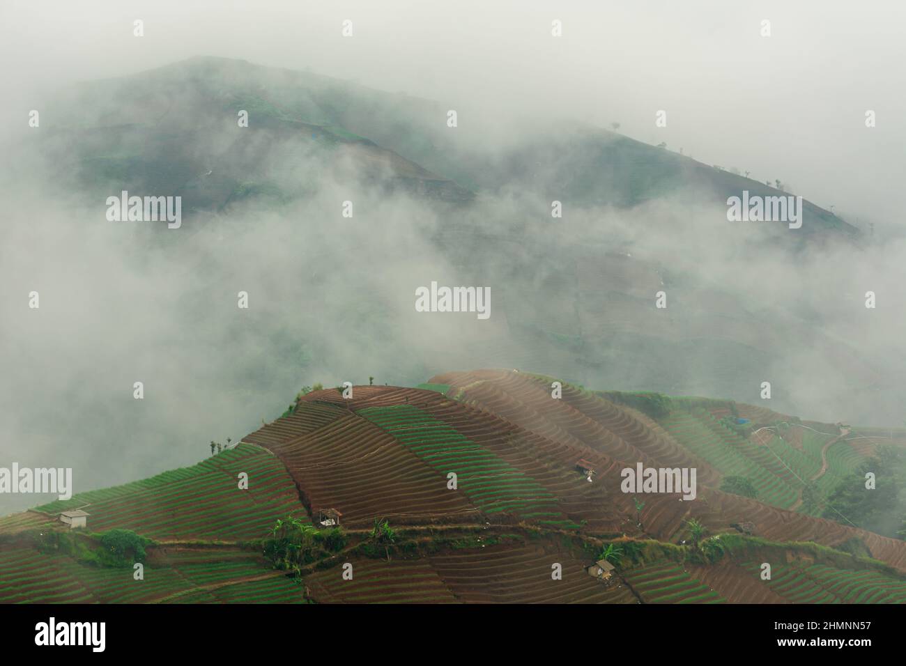 beautiful scenery in Indonesia Stock Photo - Alamy