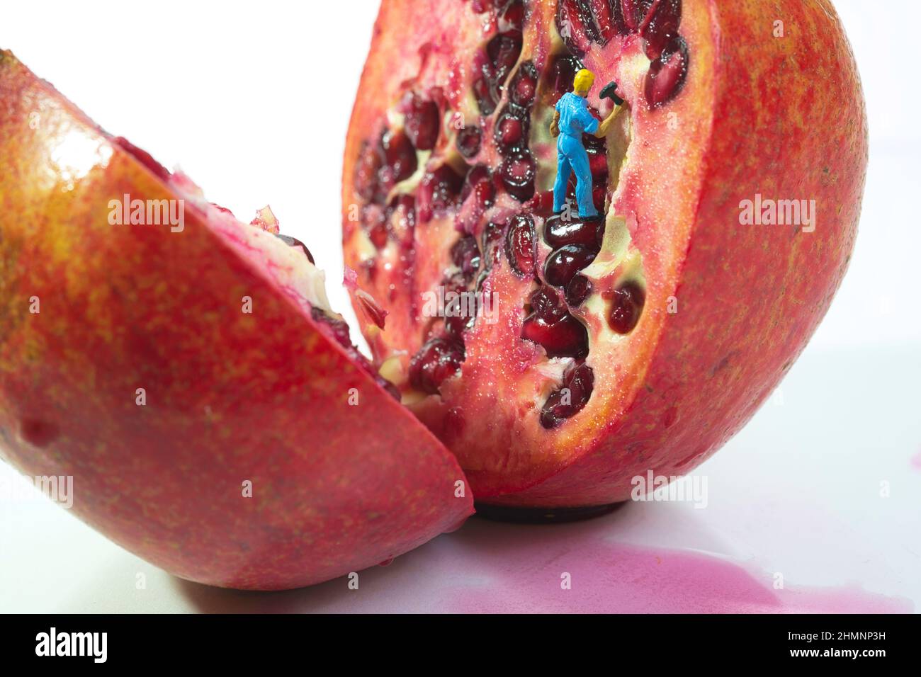 a worker with a hammer stands in an opened juicy pomegranate to harvest ...