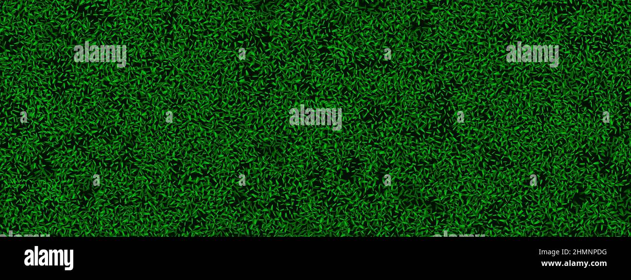 Green turf grass texture seamless pattern. Carpet or lawn top view ...