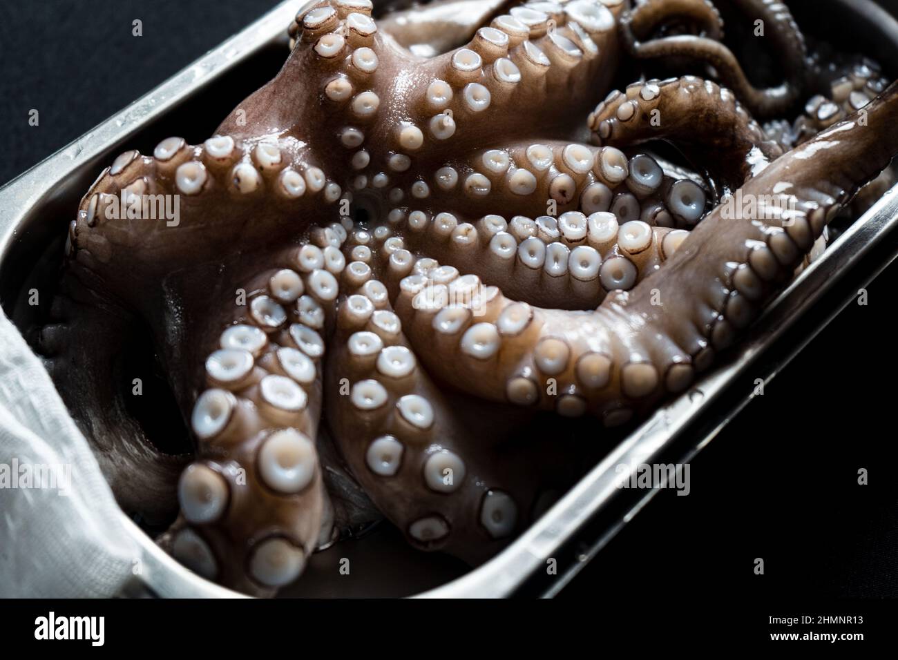 octopus is raw, ready to cook. Creative concept of healthy food with ...