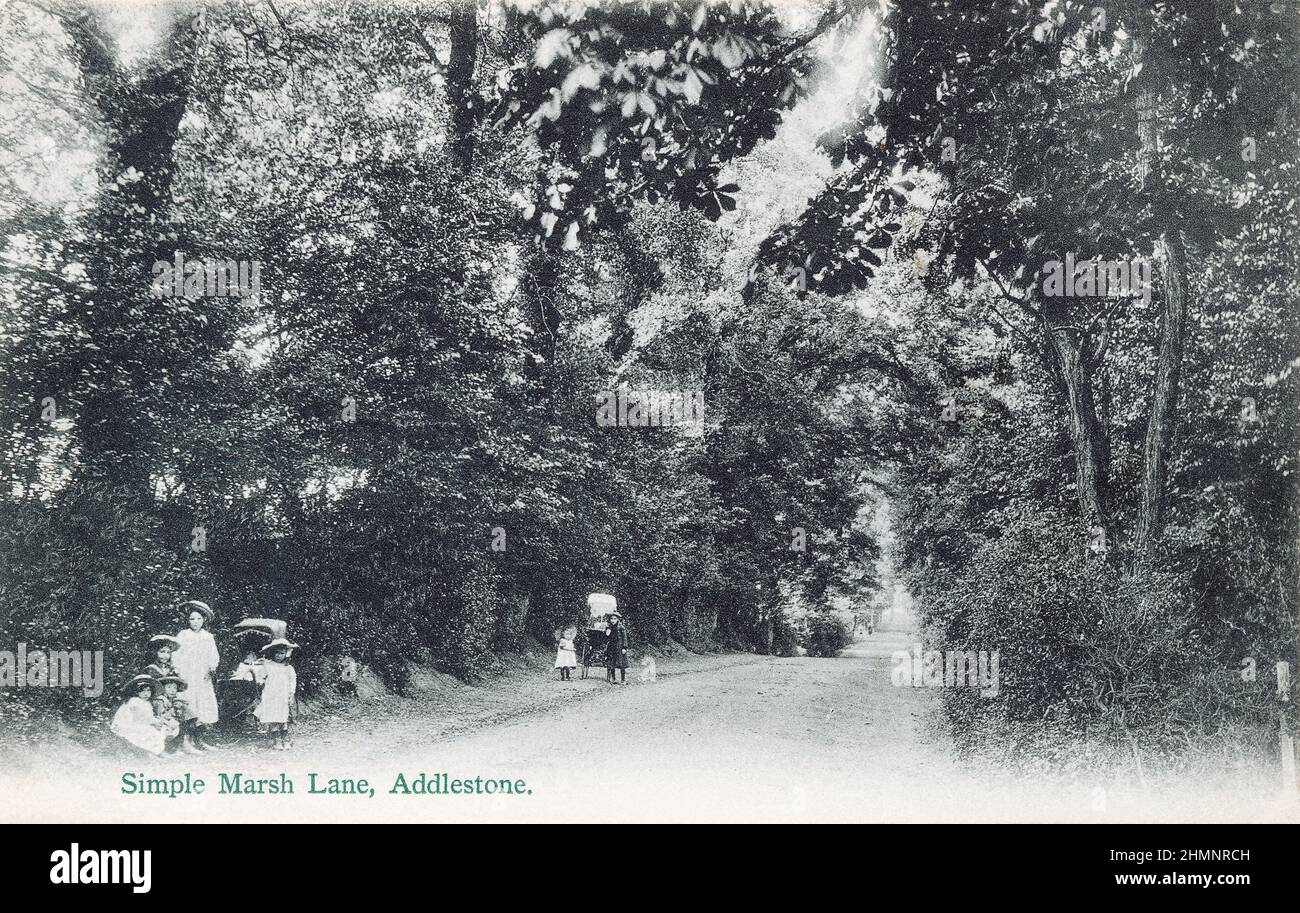 Vintage Edwardian era postcard of Simplemarsh Lane in Addlestone ...