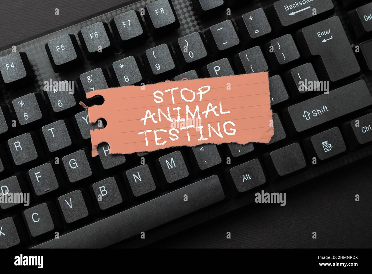 Handwriting text Stop Animal Testing. Business idea scientific ...