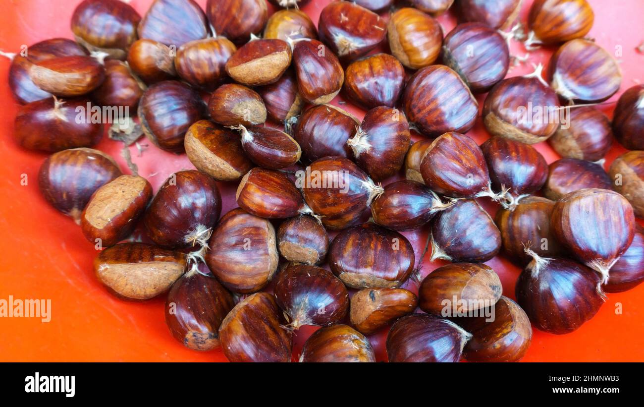 Raw chestnut stack in red pot closeup, top view of chestnuts Stock ...