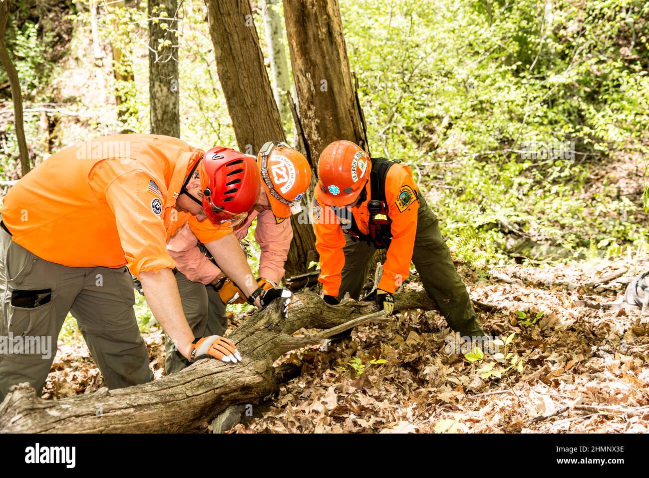 Search and Rescue Safety drill and competitive outdoor games Stock ...