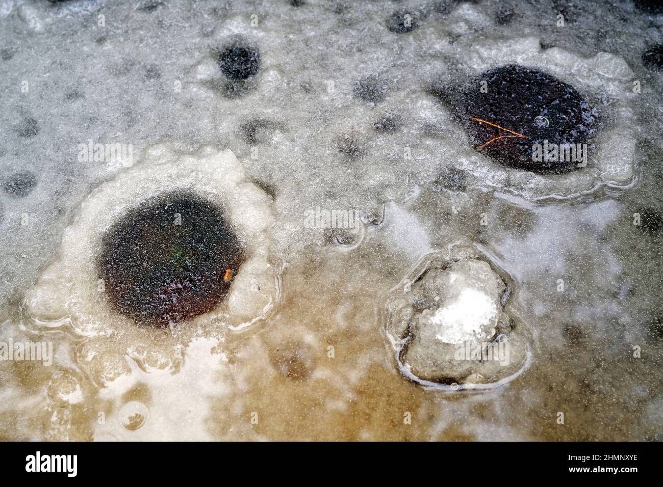 Bog waters hi-res stock photography and images - Alamy