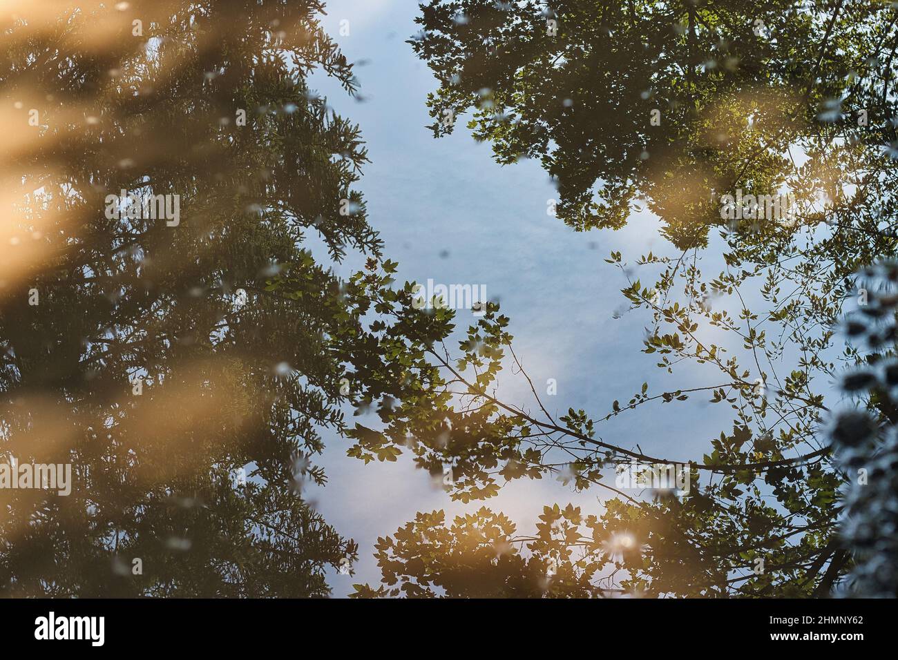 Puddle with reflection Stock Photo - Alamy