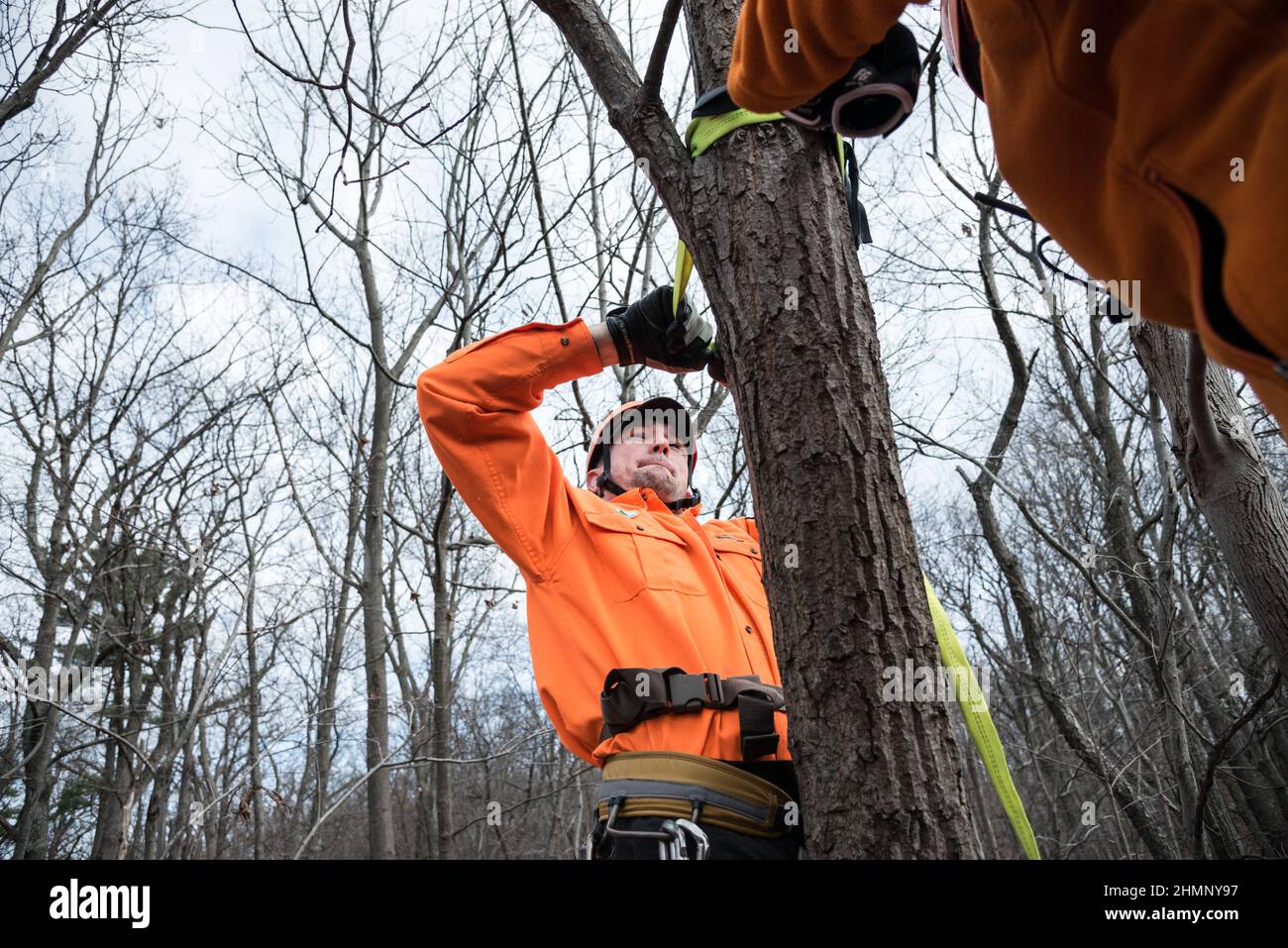 New Jersey Search and Rescue (NJSAR) Mountain Rescue Unit practice ...