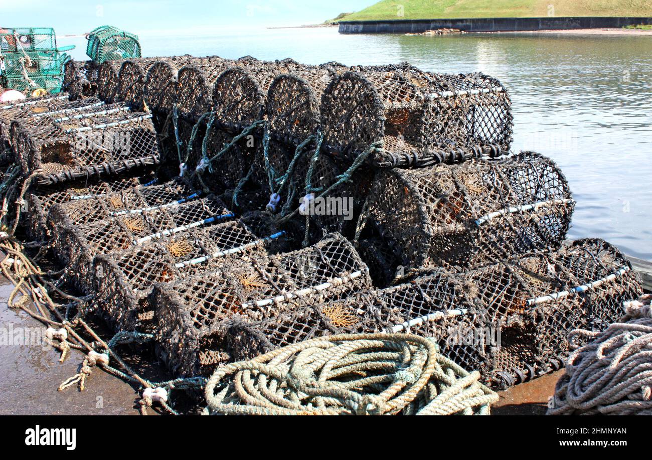 A Stack of Lobster and Crab Pots on a Harbour Wall Stock Photo - Alamy