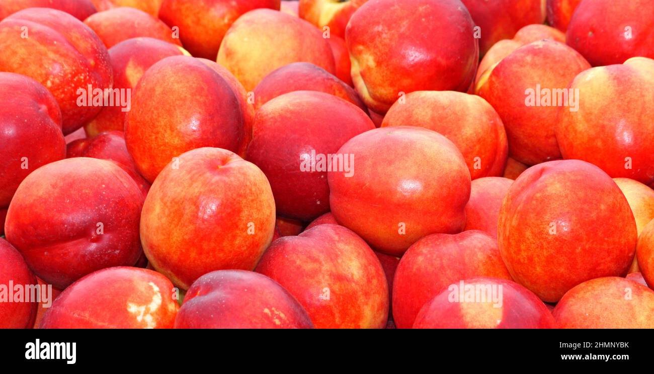 A Fruit Display of Freshly Picked Nectarines Stock Photo - Alamy
