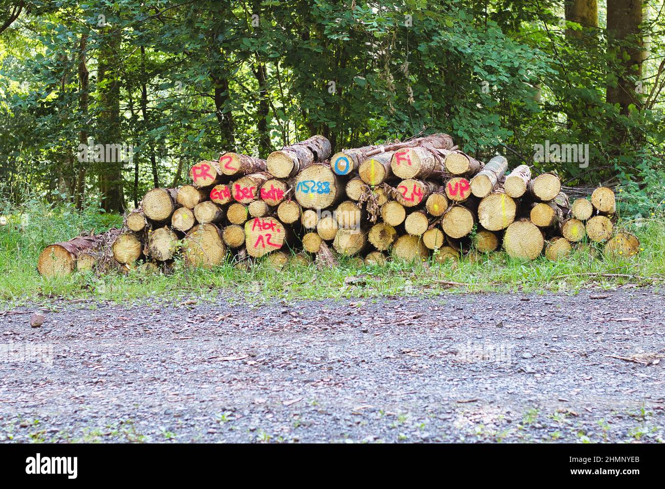 Wood reclamation hi-res stock photography and images - Alamy