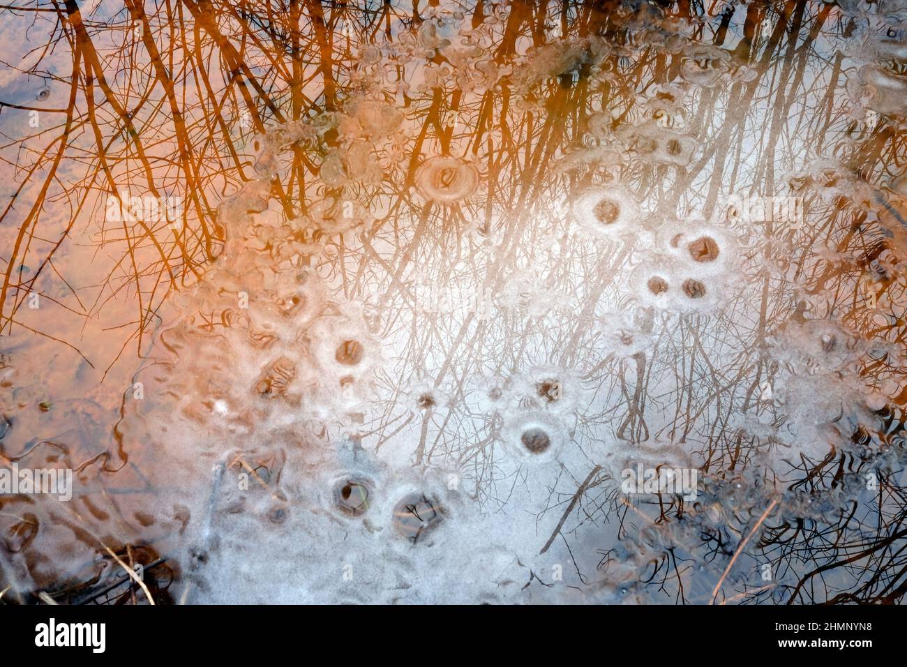 Trees reflections on water, ice & snow opening Stock Photo - Alamy