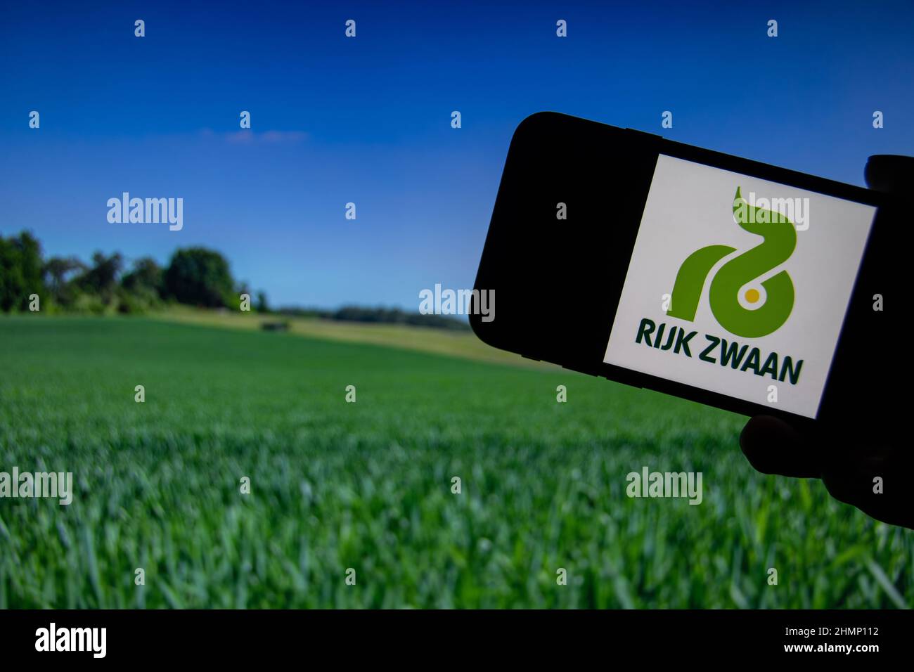 Rijk zwaan hi-res stock photography and images - Alamy