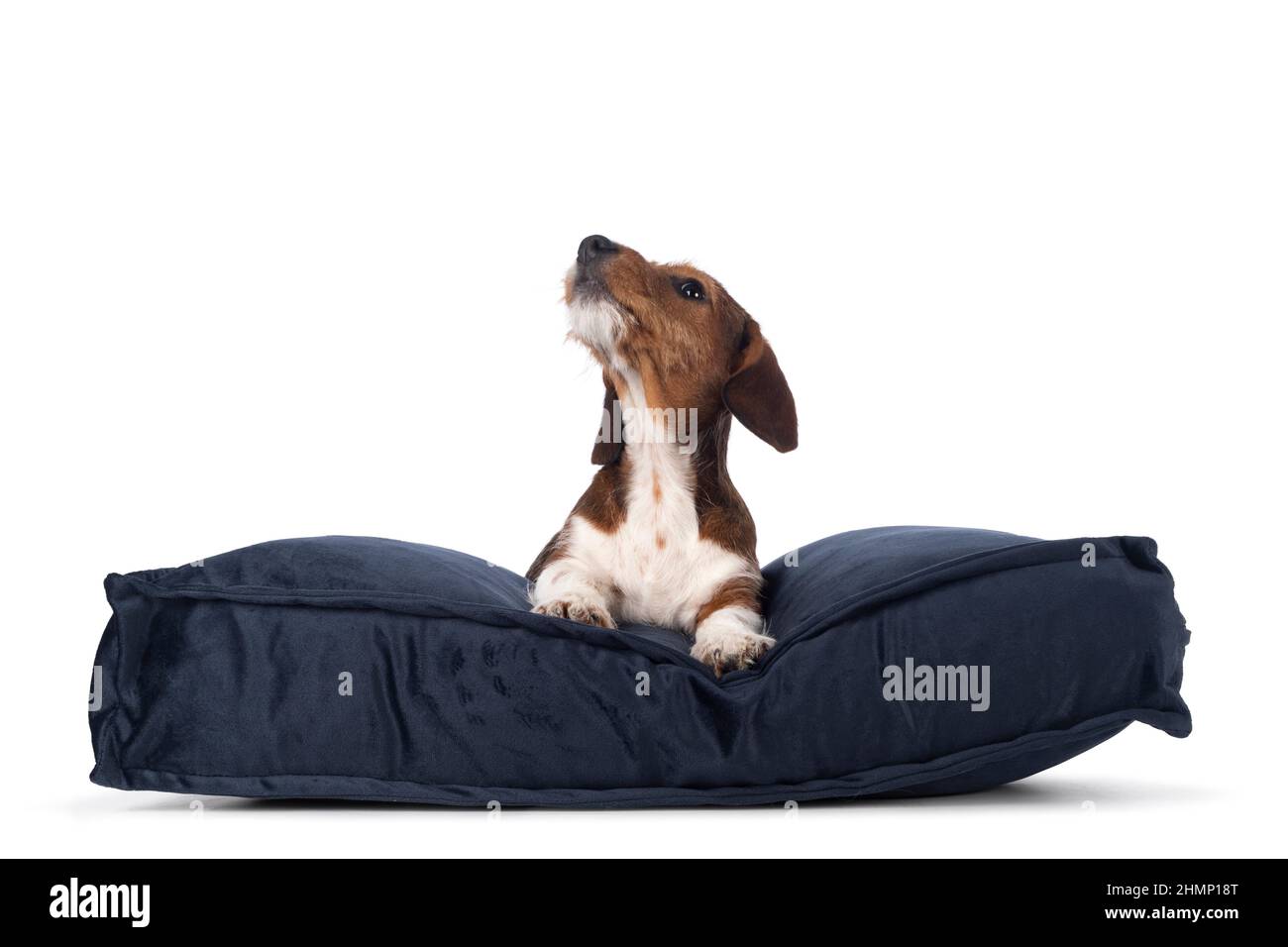 Baby pillow head Cut Out Stock Images & Pictures - Alamy