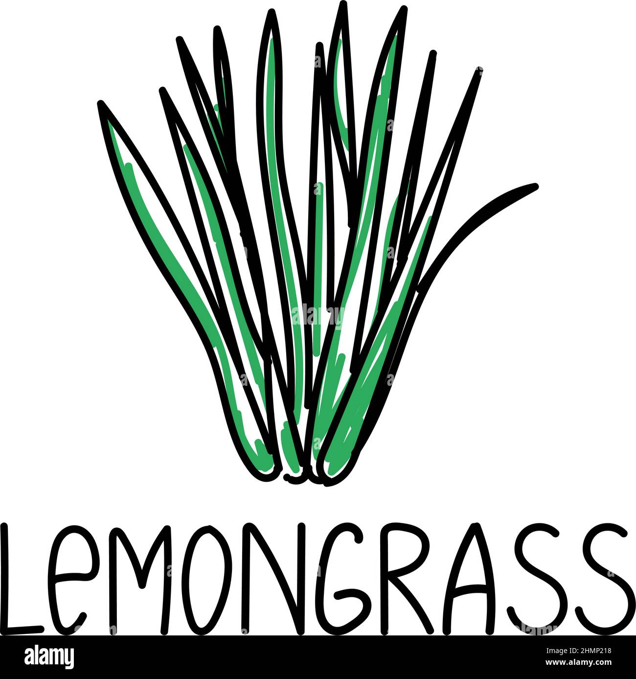 Citronella flower Stock Vector Images - Alamy