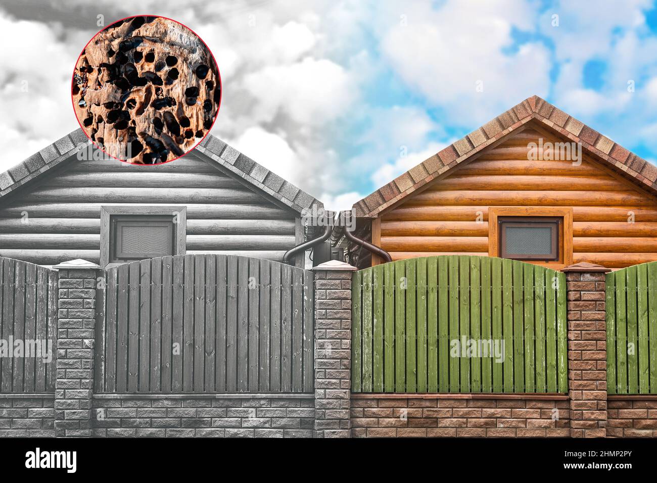 A new house with insect repellent treatment and an old building damaged ...