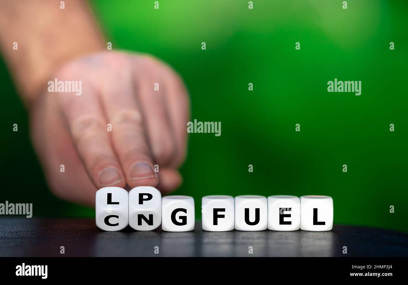 Dice Fuels Companies House at Trevor Roy blog